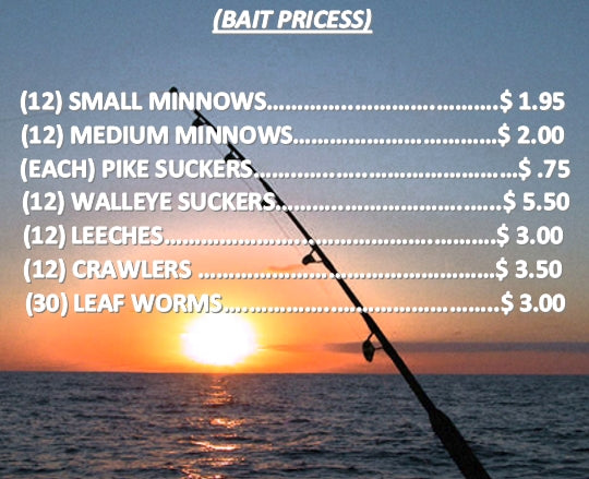 Live Bait Prices – Wilderness Sports, Inc.