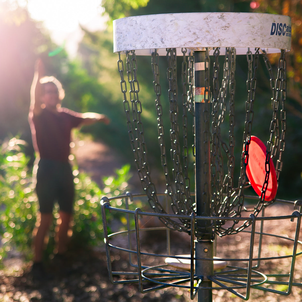 Disc Golf Course in Marquette, MI – Wilderness Sports, Inc.
